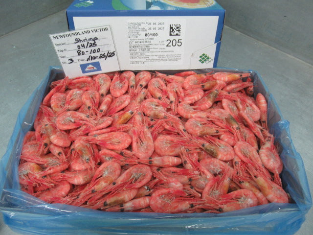 5KG, Coldwater Borealis Shrimp 80/100 per kg – Coldwater Harvest