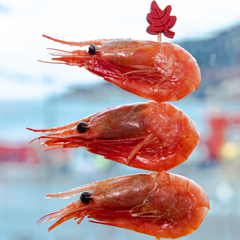 5KG, Canadian Coldwater Whole Shrimp, 90/120 per kg – Coldwater Harvest